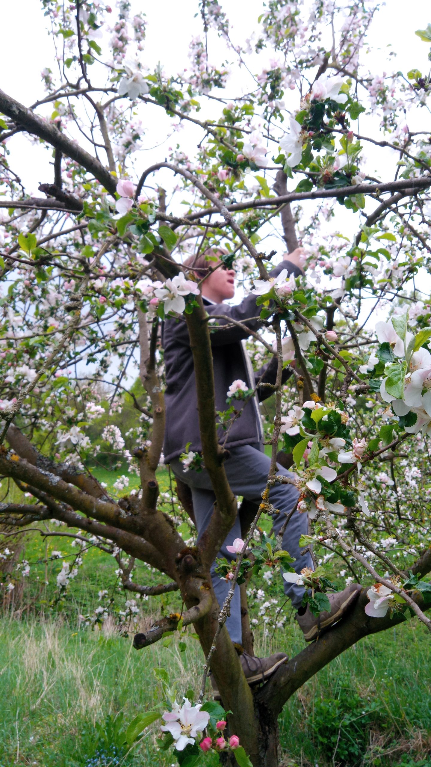 diegutesaat – Miriam Küllmer